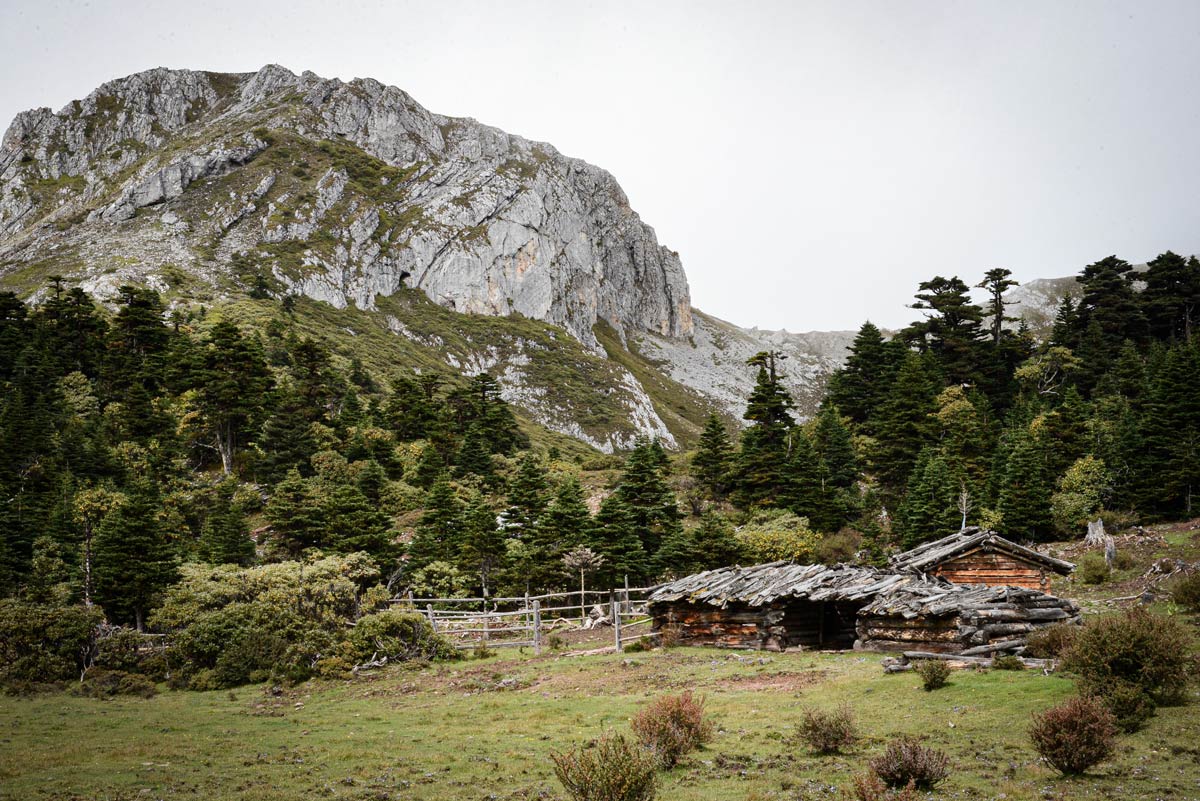 Shika 4400 - english | Caravane Liotard